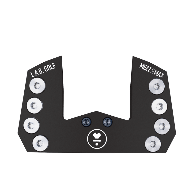 L.A.B. Golf MEZZ.1 MAX Custom Putter – NiceOn Golf